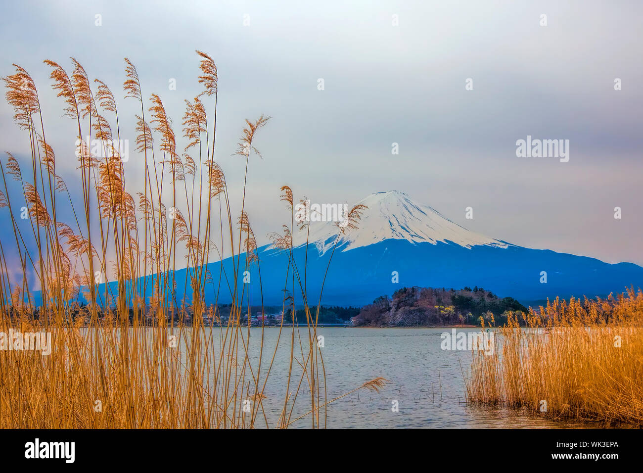 Mt Fuji in the spring seen from lake Kawaguchi Stock Photo - Alamy