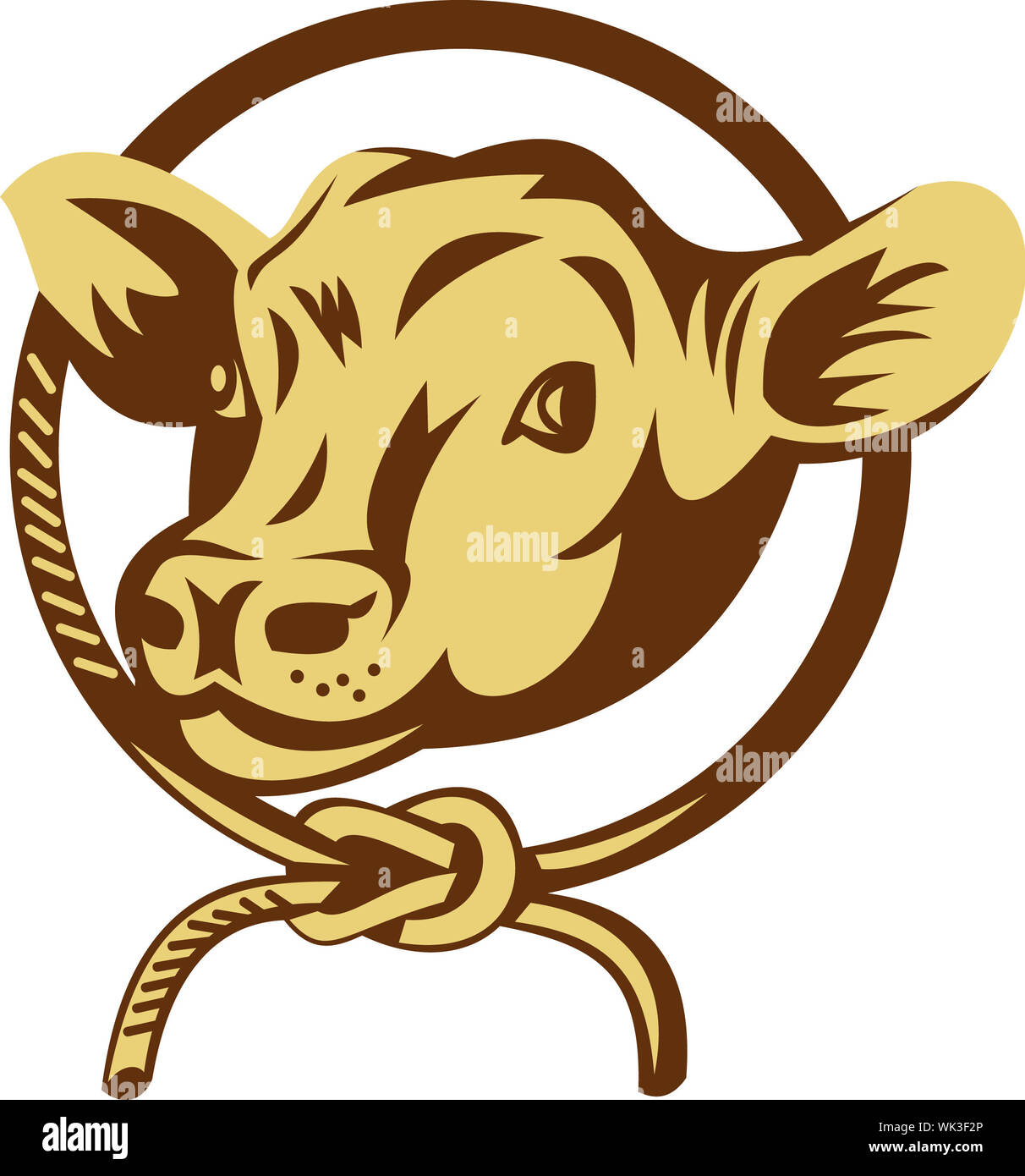 Cow knot hi-res stock photography and images - Alamy