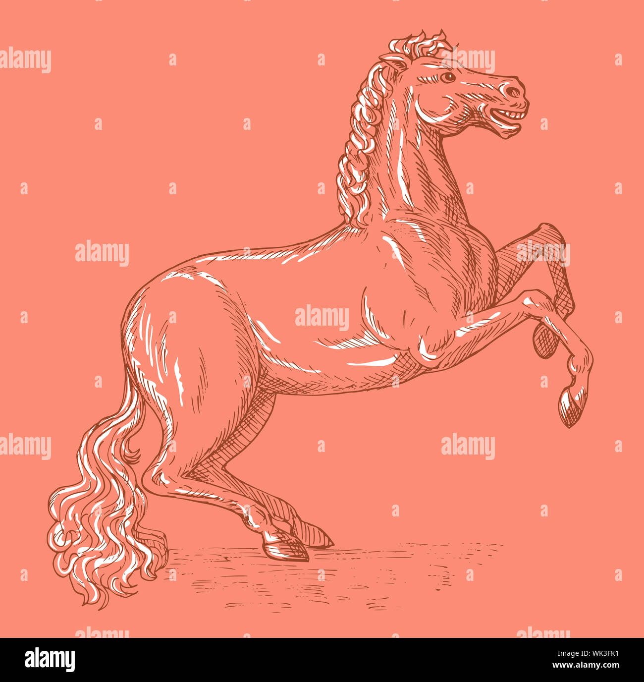 hand sketch ed illustration of a horse prancing viewed from the side ...