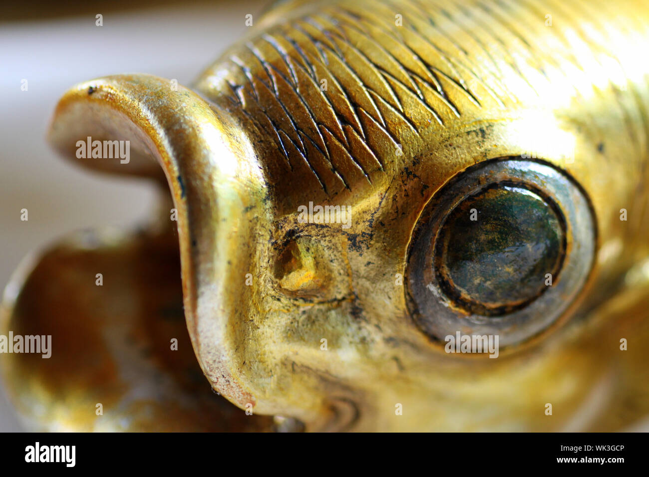 a golden, ancient fish - close-up of the eye and mouth Stock Photo - Alamy
