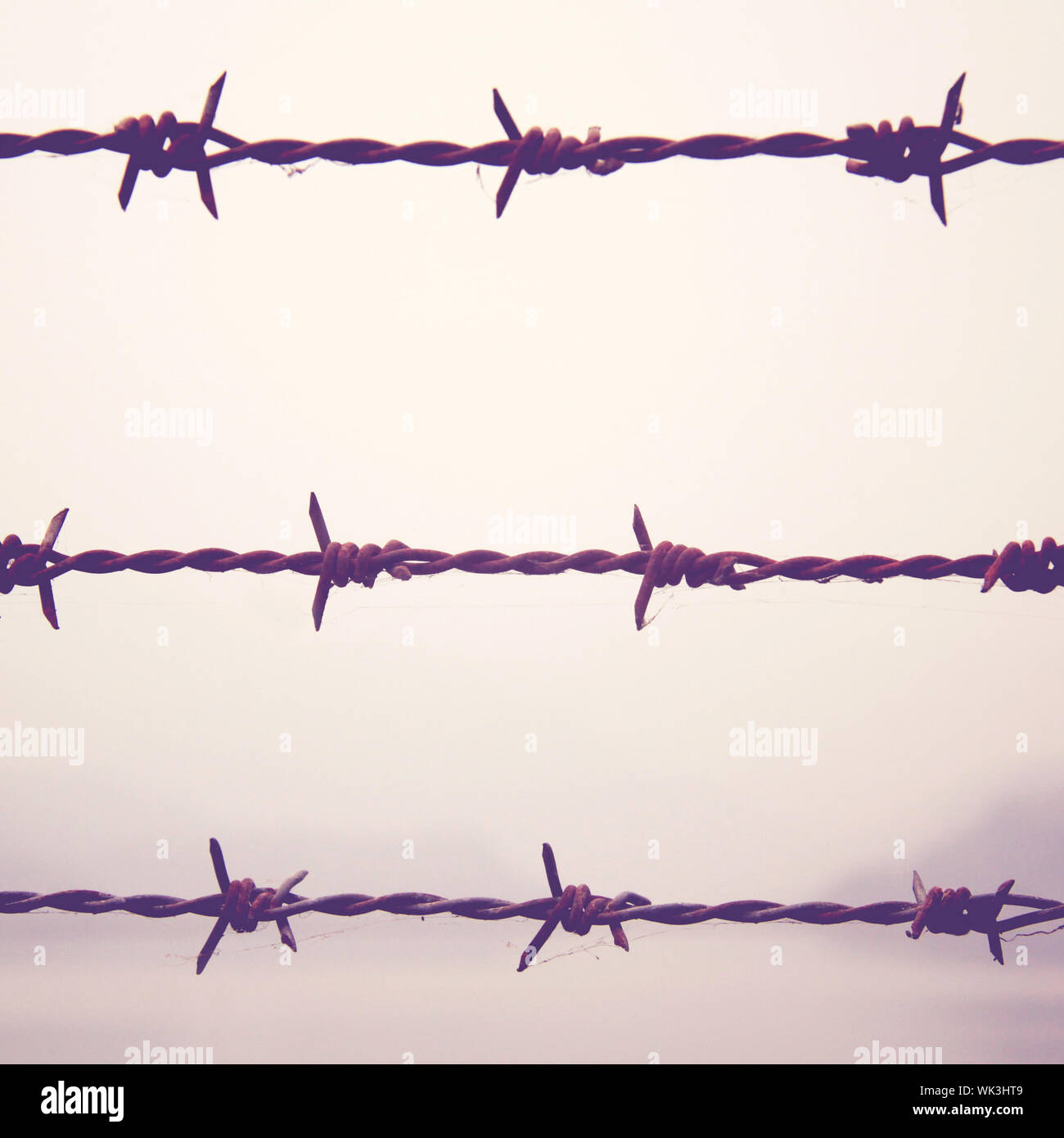 Old rusty barbed wire with retro filter effect Stock Photo - Alamy