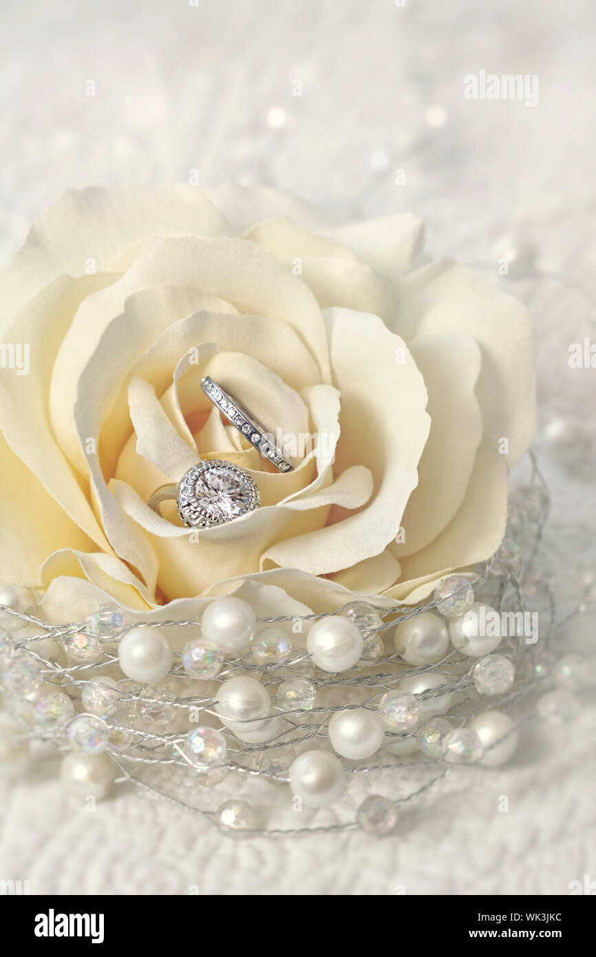 Wedding rings in cream rose flower Stock Photo - Alamy