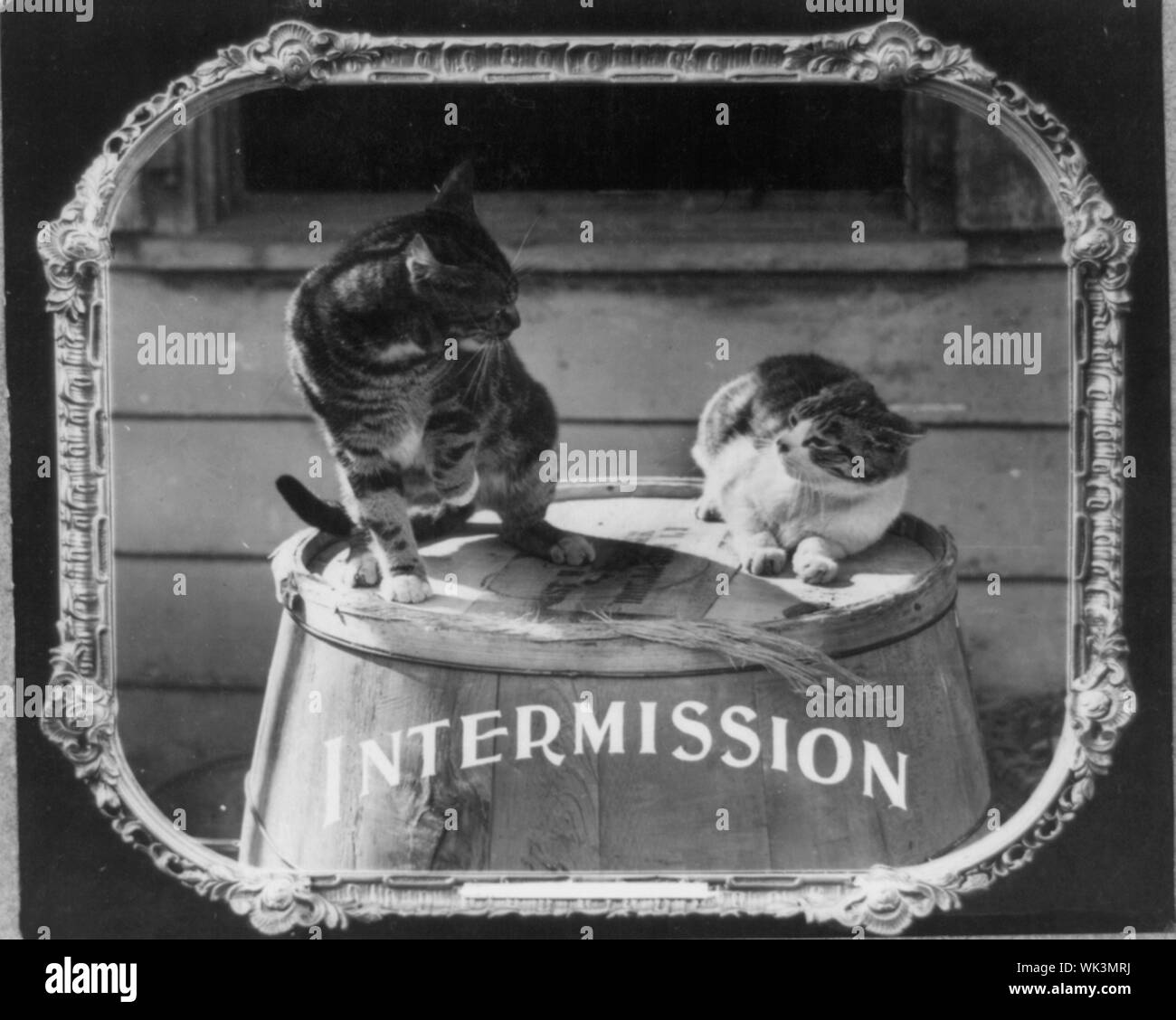 Intermission Black and White Stock Photos & Images - Alamy
