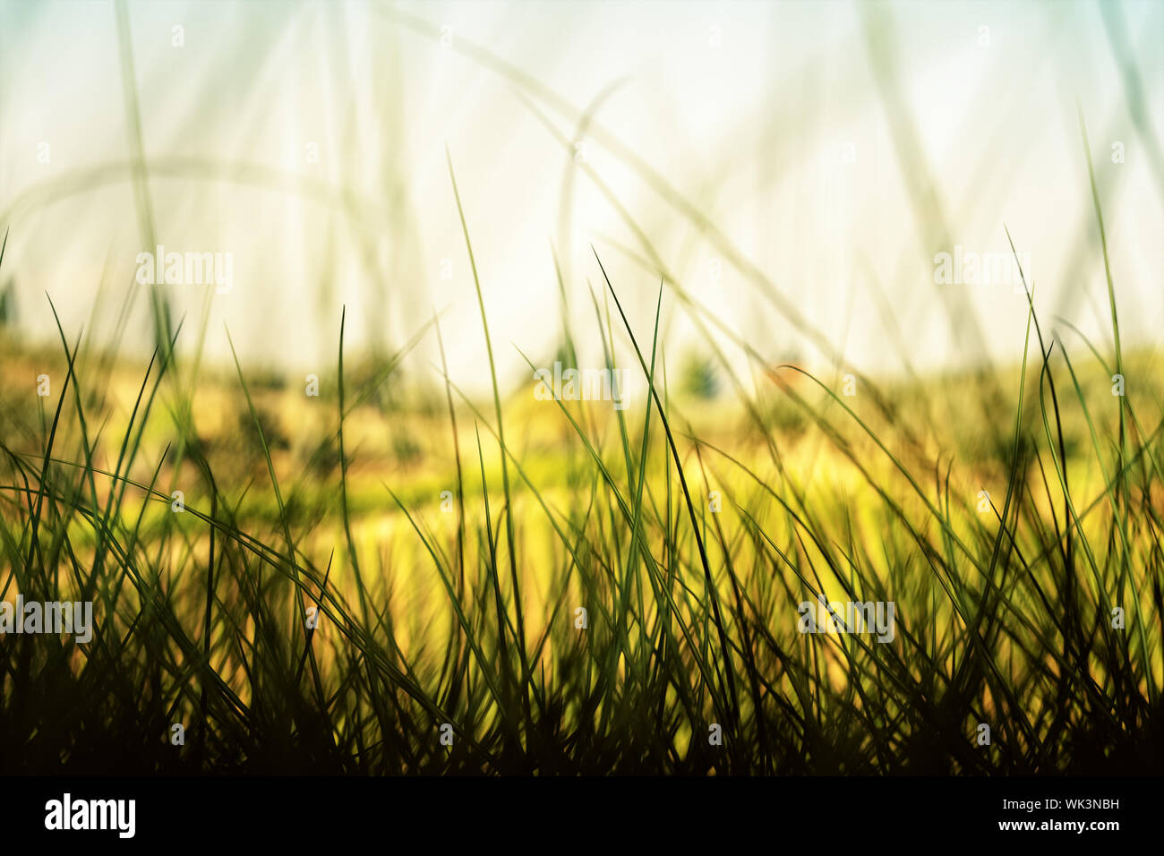 An image of a nice grass background Stock Photo - Alamy