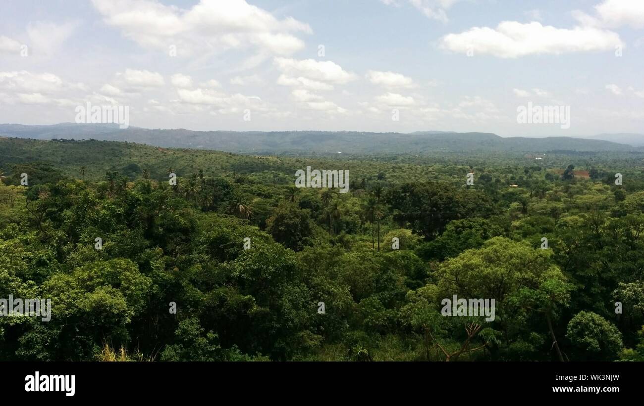 Cameroon landscape hi-res stock photography and images - Alamy