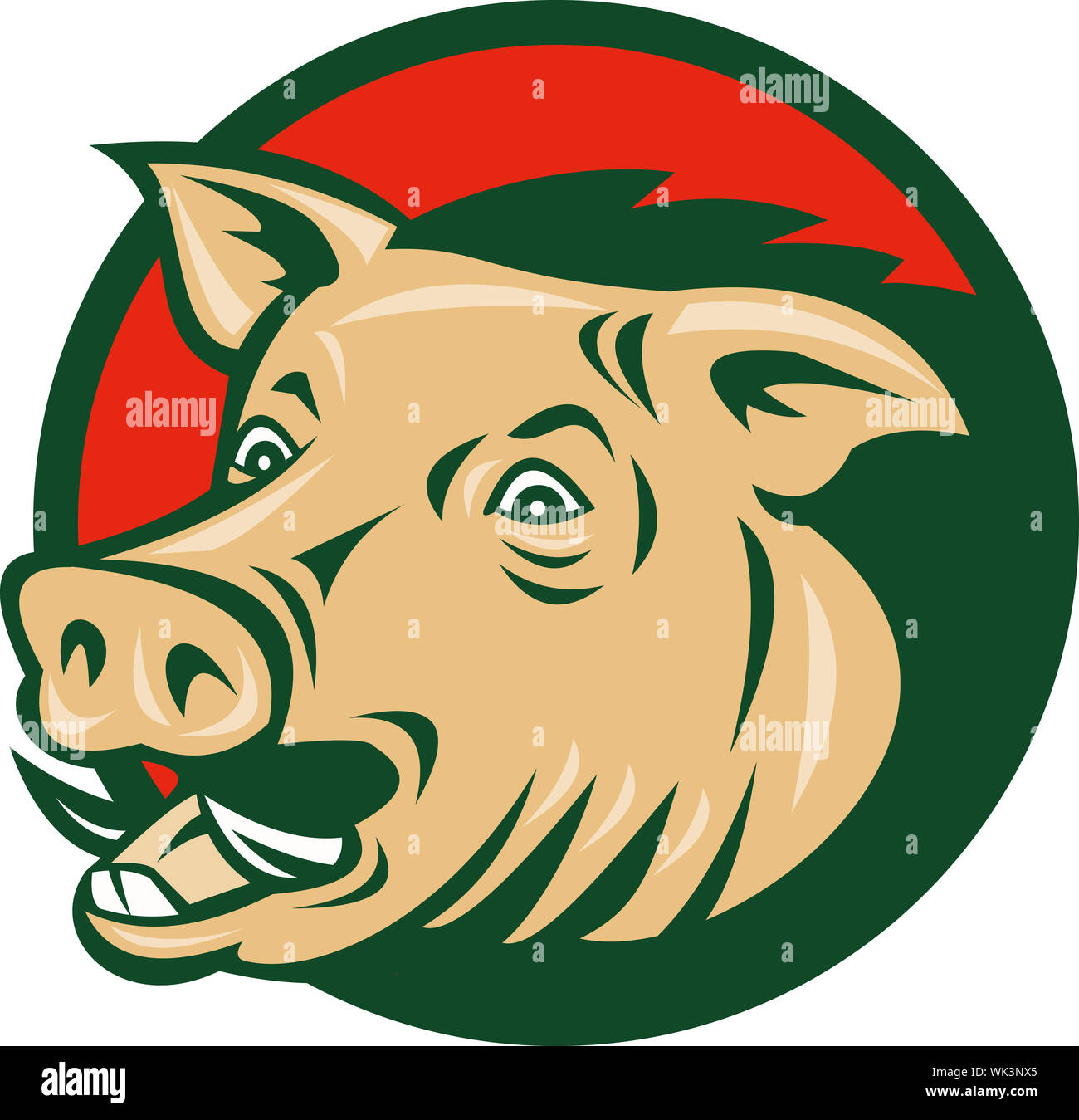 illustration of a wild boar or razorback Stock Photo - Alamy