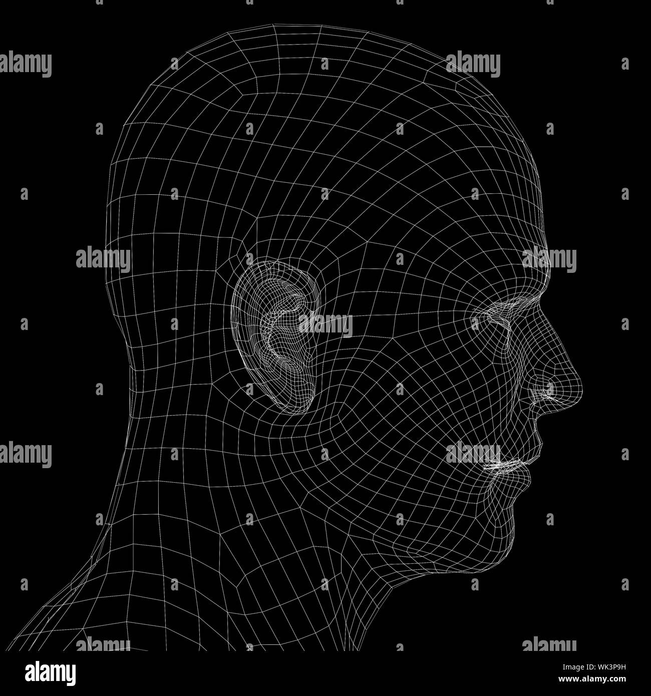 Human wireframe head Black and White Stock Photos & Images - Alamy