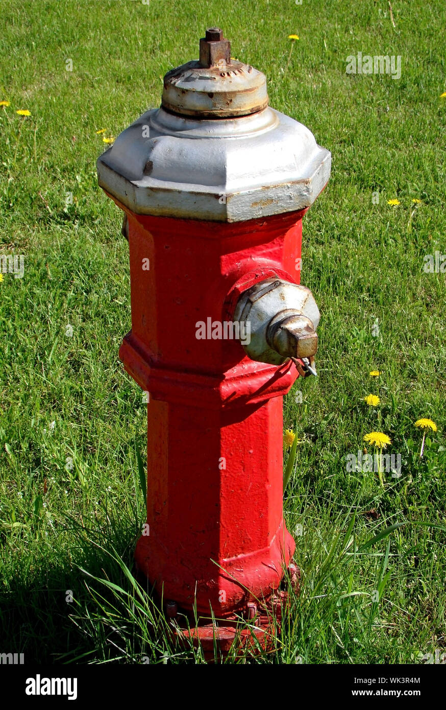 Vertical Bright red fire hydrant on grass Stock Photo - Alamy