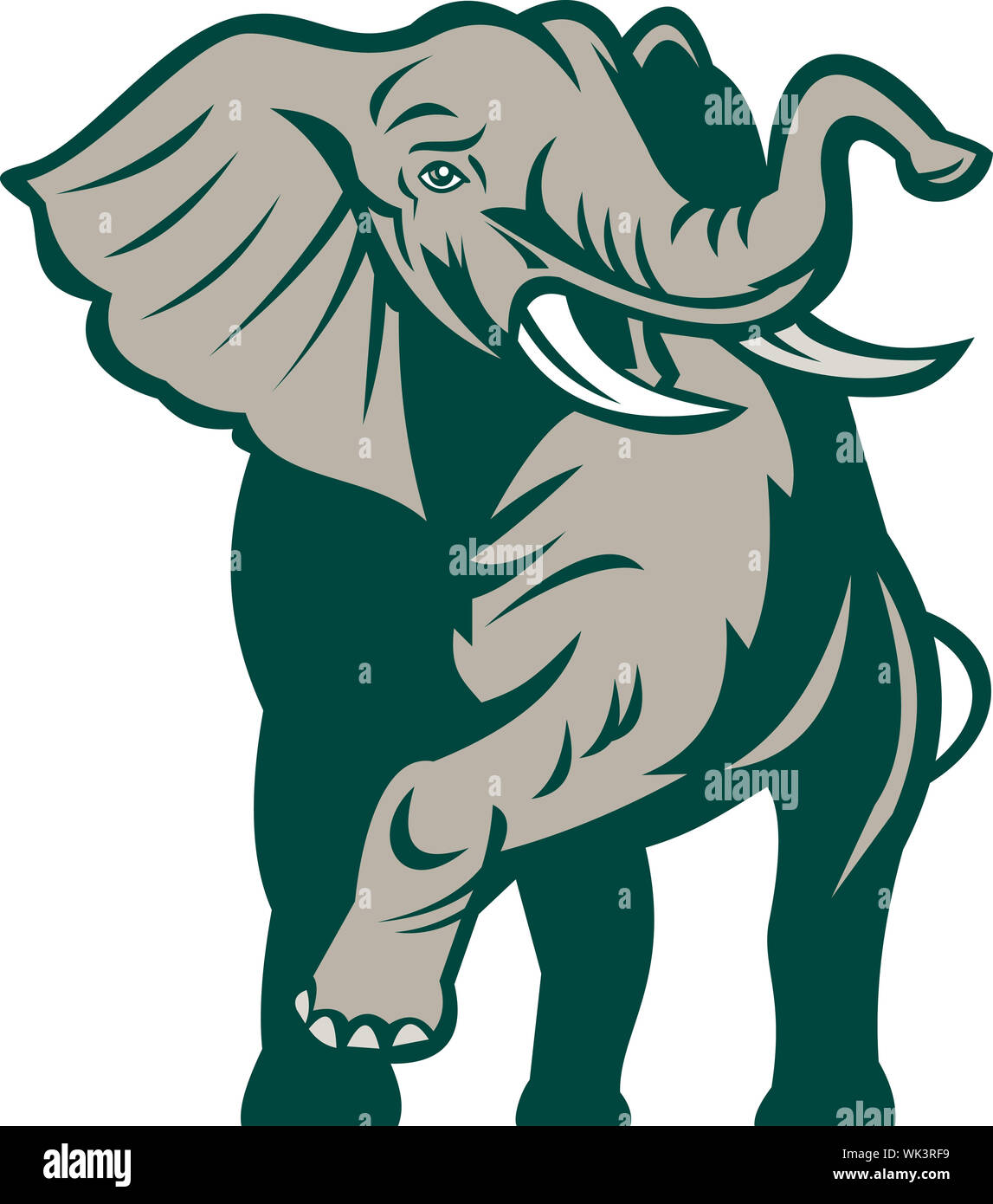 illustration of an african elephant charging attacking isolated on ...