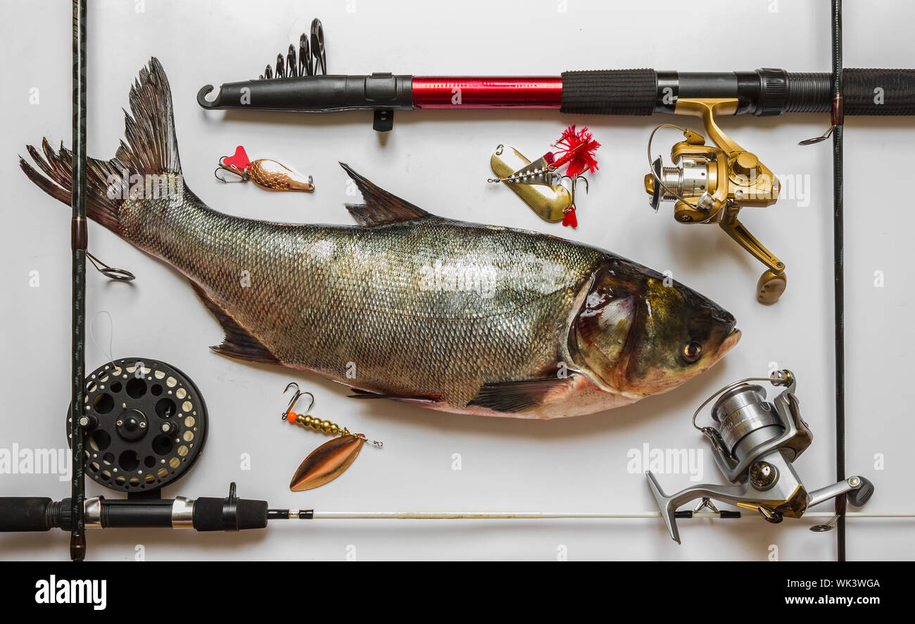 fish with rods and tackle for fishing Stock Photo - Alamy