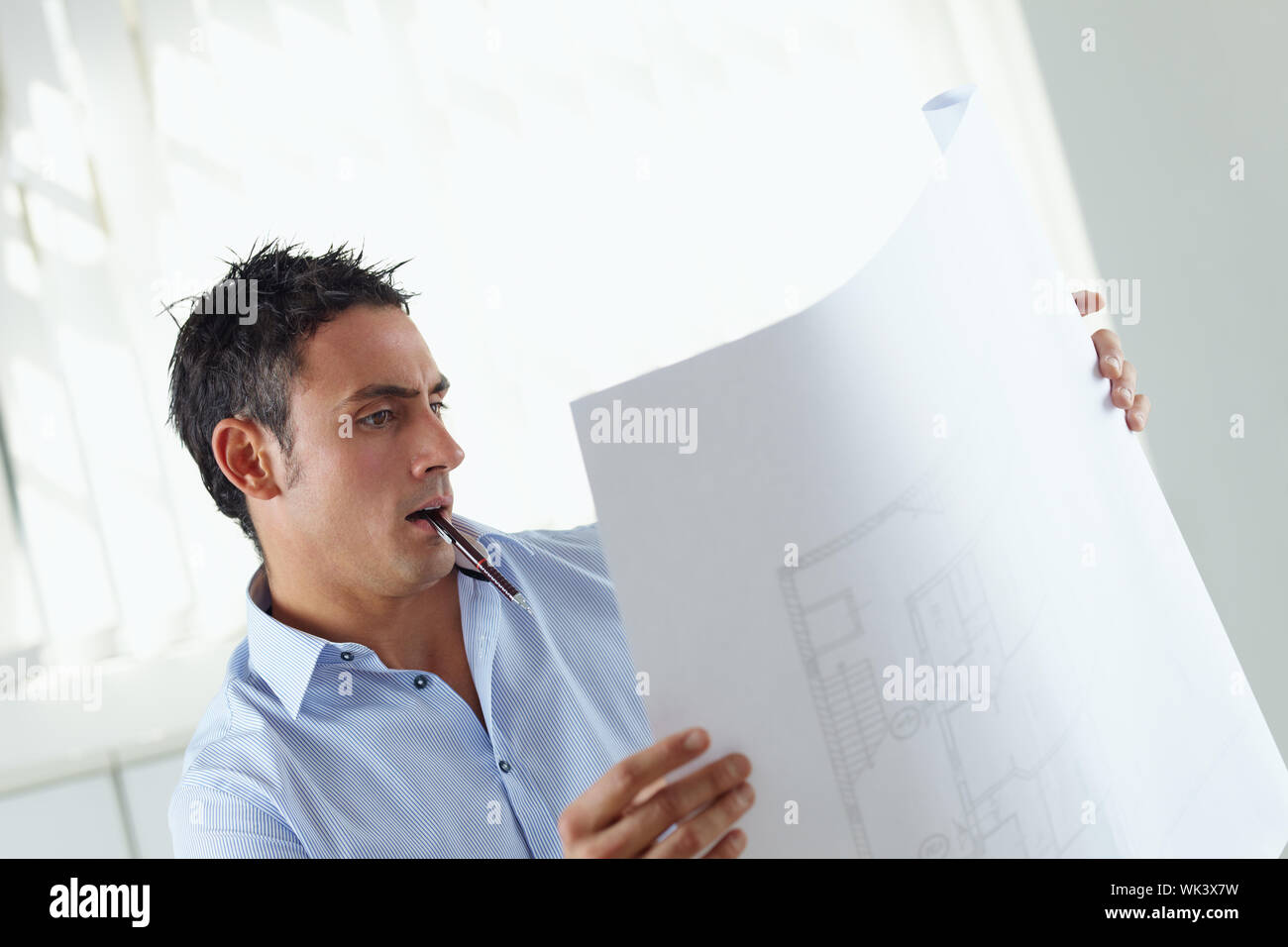 portrait of mid adult architect reading blueprint and smiling Stock ...
