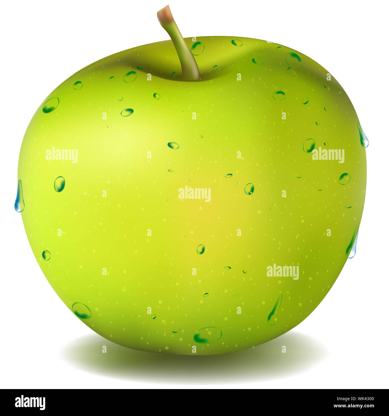 Realistic apple vector illustration Cut Out Stock Images & Pictures - Alamy