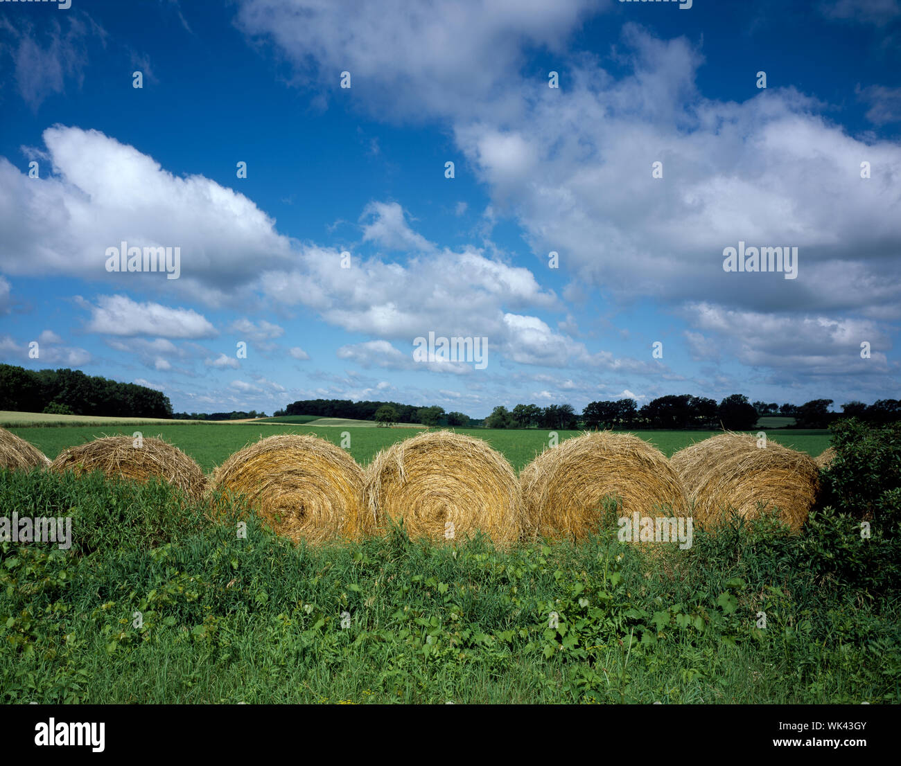 Iowa hay rolls Stock Photo - Alamy