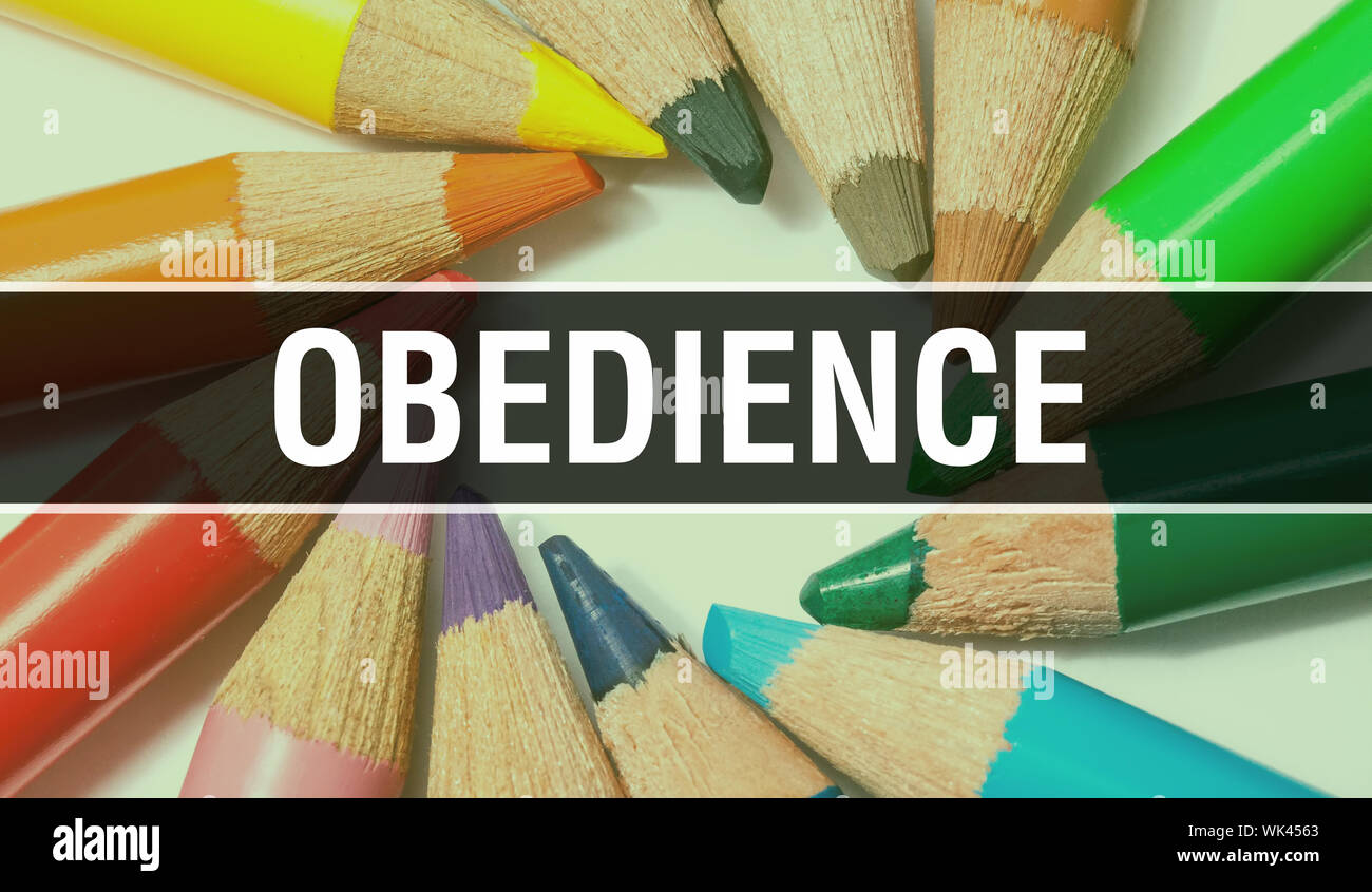 Obedience classroom hi-res stock photography and images - Alamy