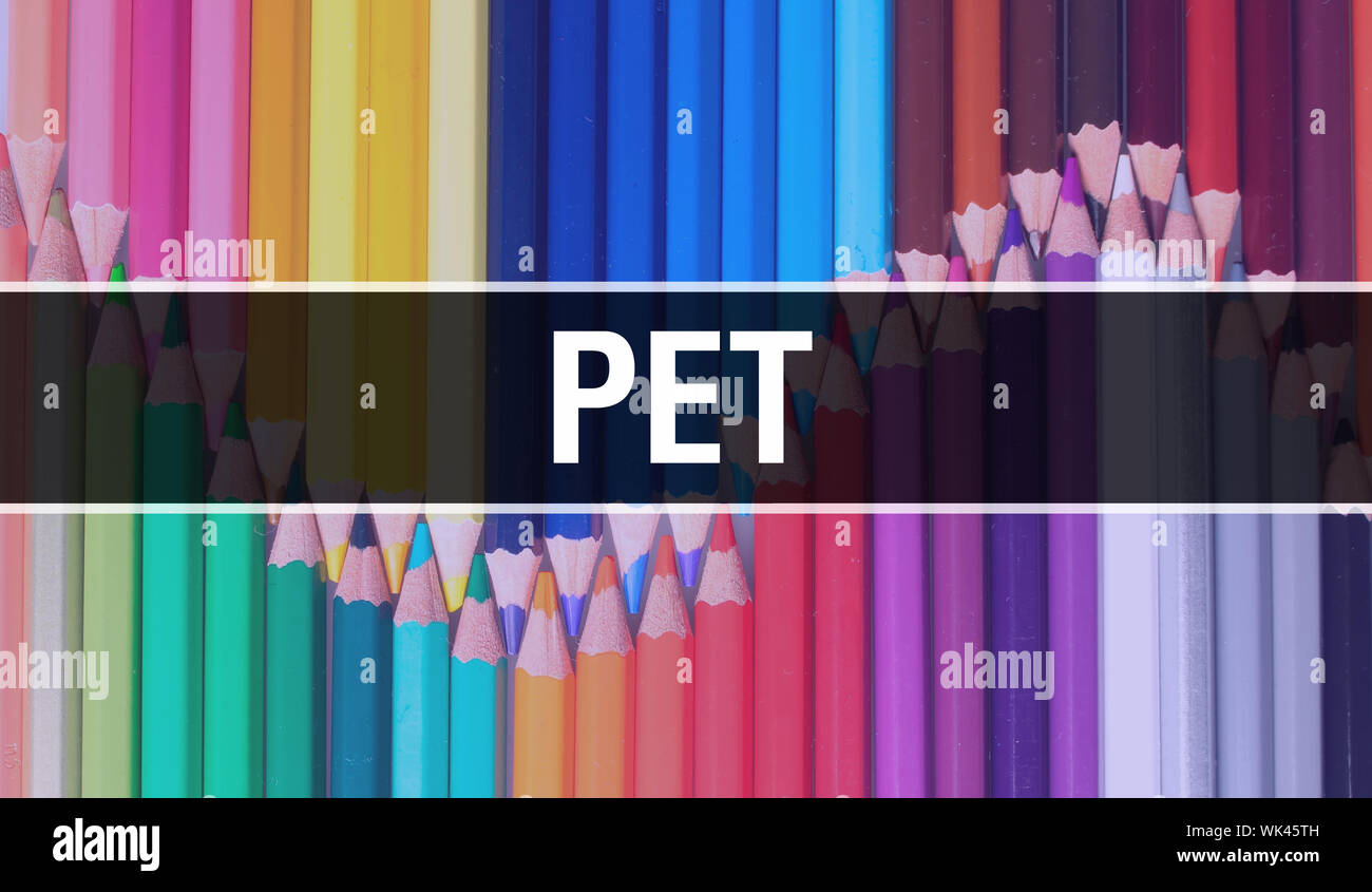 PET concept illustration on Back to School banner with Education ...