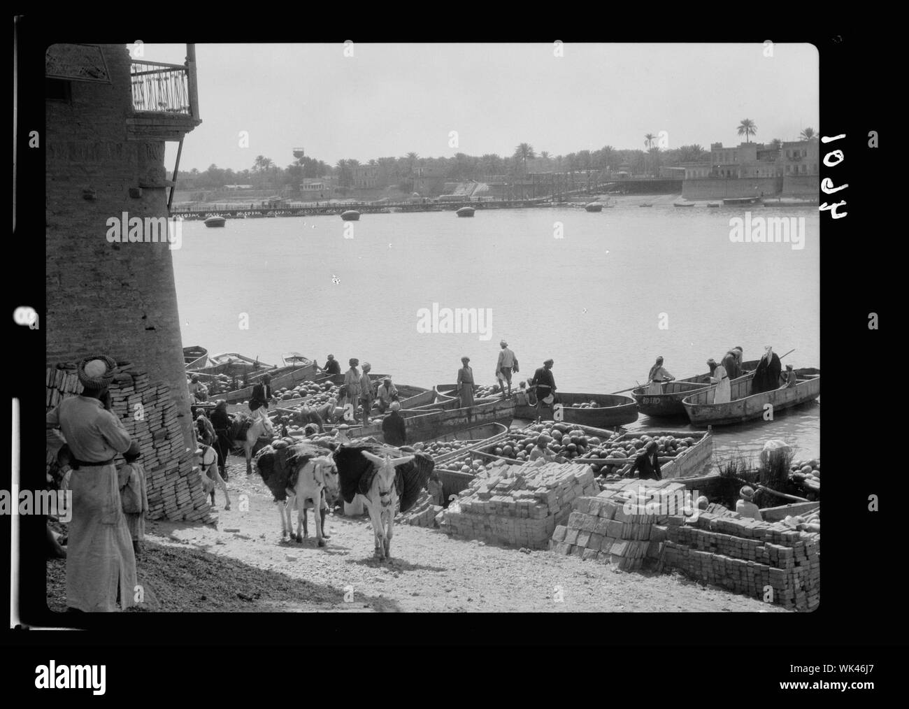 Iraq. (Mesopotamia). Baghdad. River scenes on the Tigris. Melon barges ...