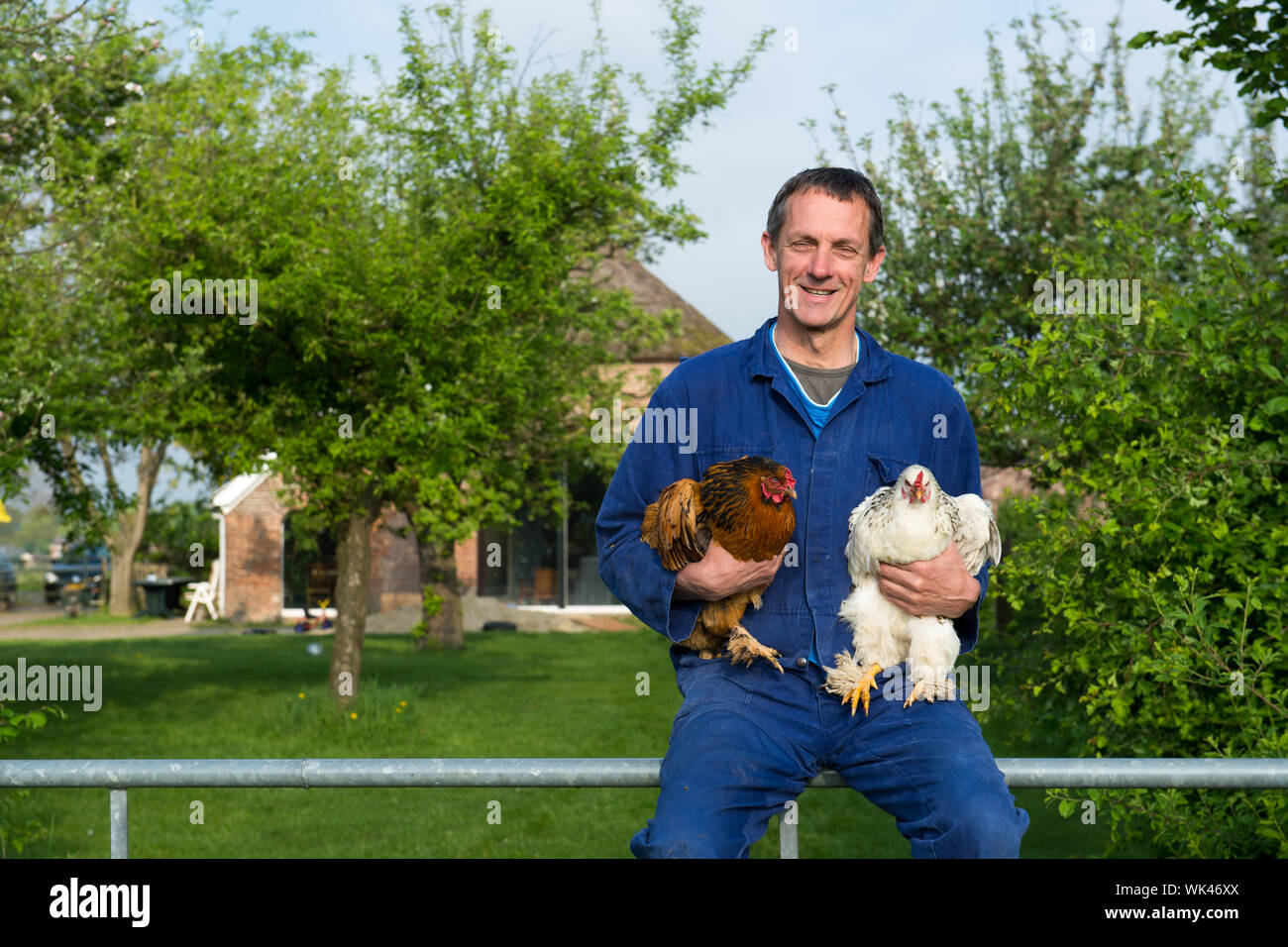 Man carrying chickens hi-res stock photography and images - Alamy