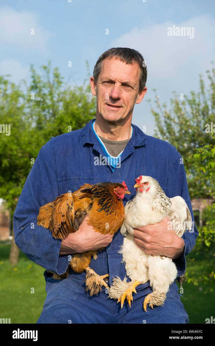 Farmer outdoor is carrying chickens Stock Photo - Alamy