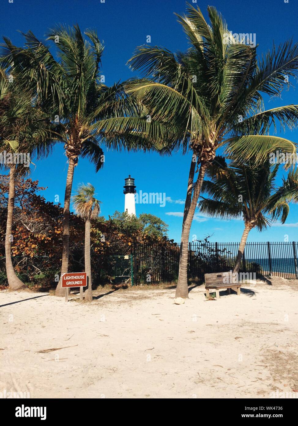 Lighthouse palm trees hi-res stock photography and images - Alamy
