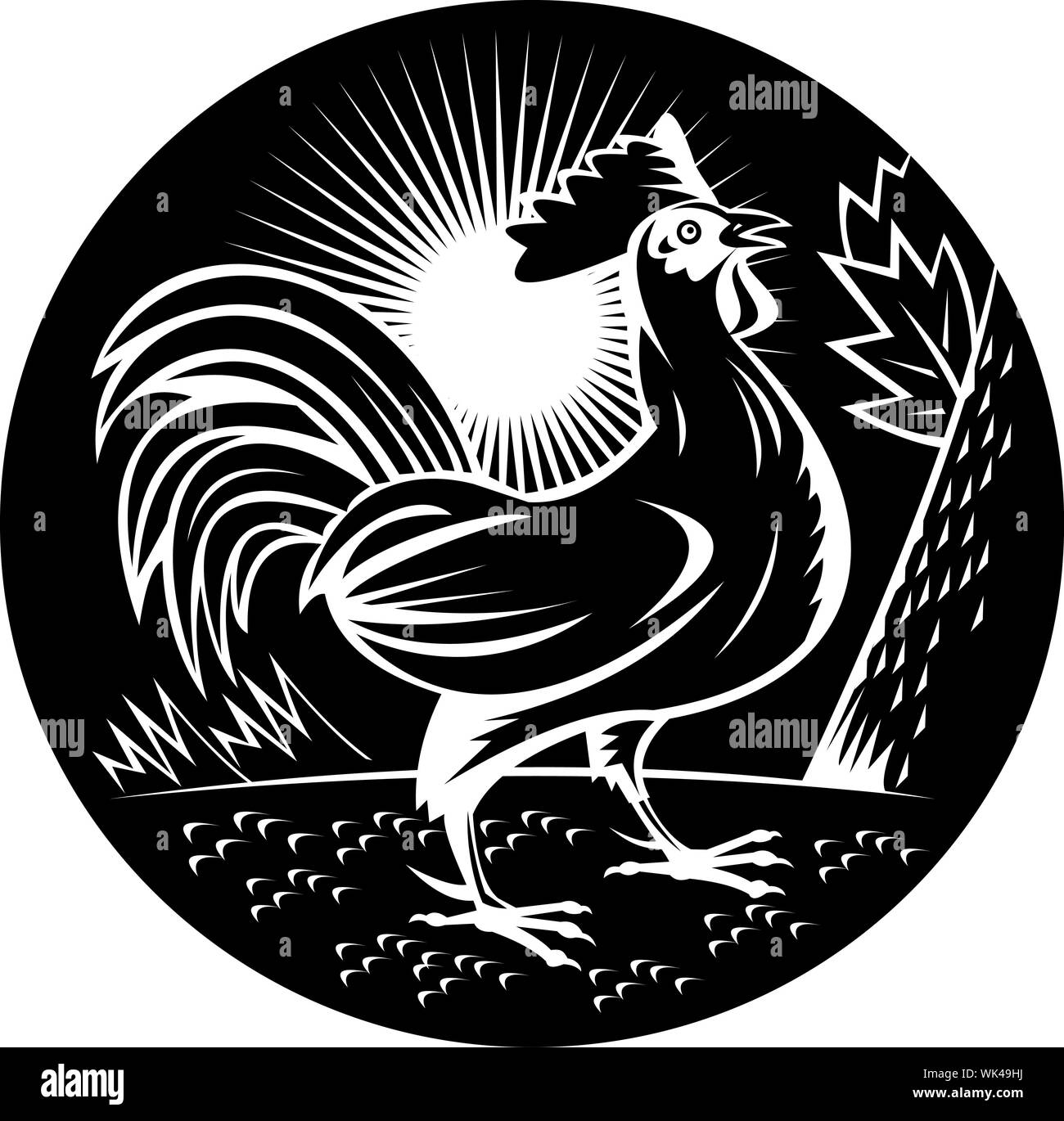 illustration of a Rooster cockerel crowing done in woodcut style and in ...