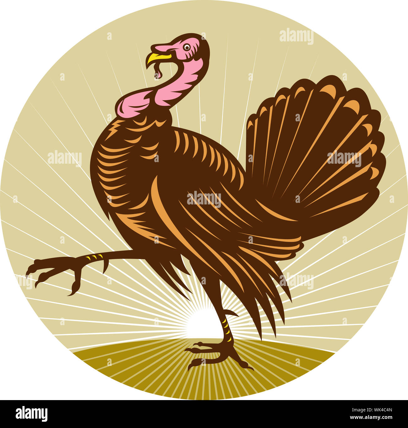 illustration of a Wild turkey walking side view done in retro woodcut ...