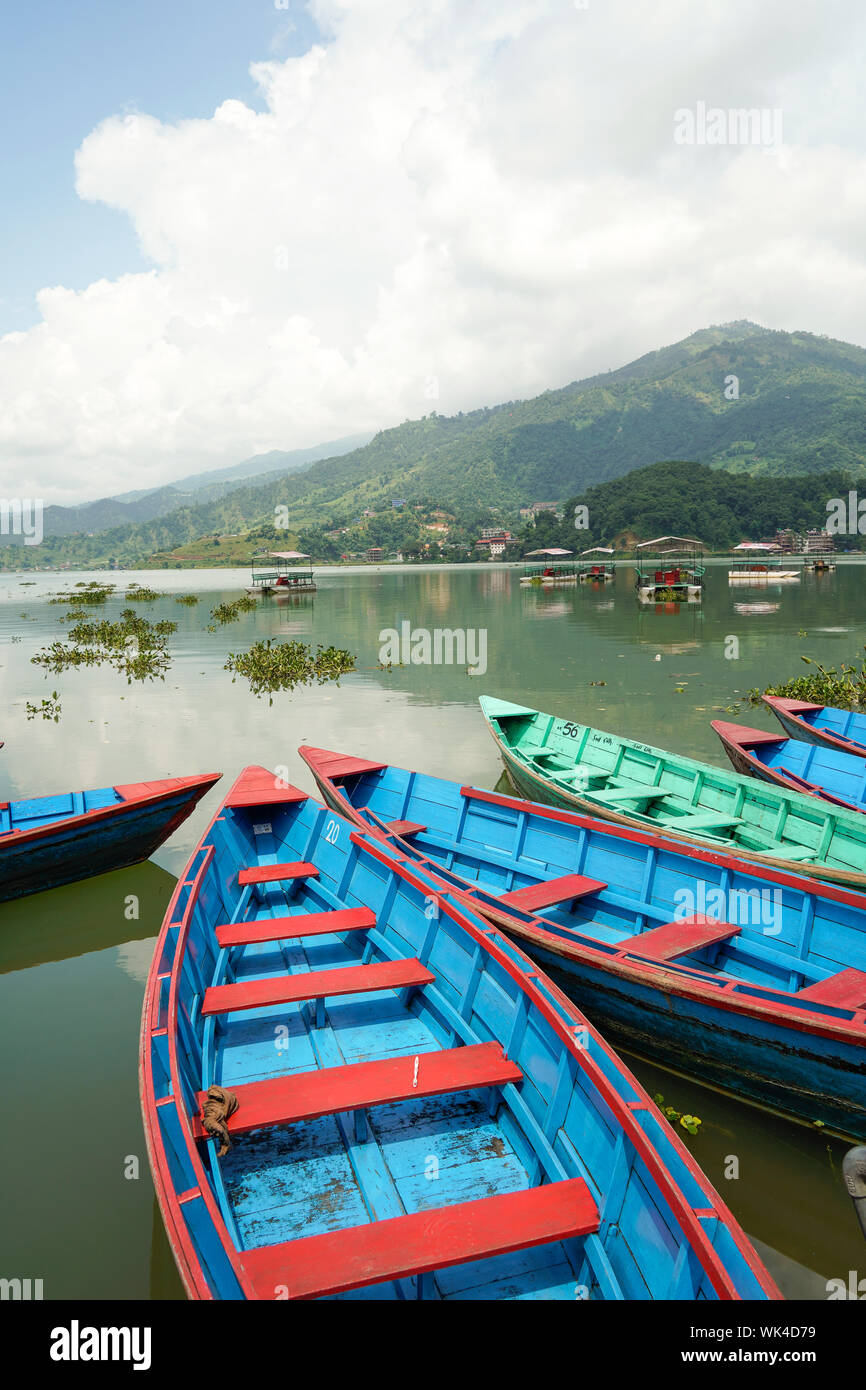 Rowing boats Phewa Lake, Phewa Tal Fewa Lake in Nepal South Asia Stock ...