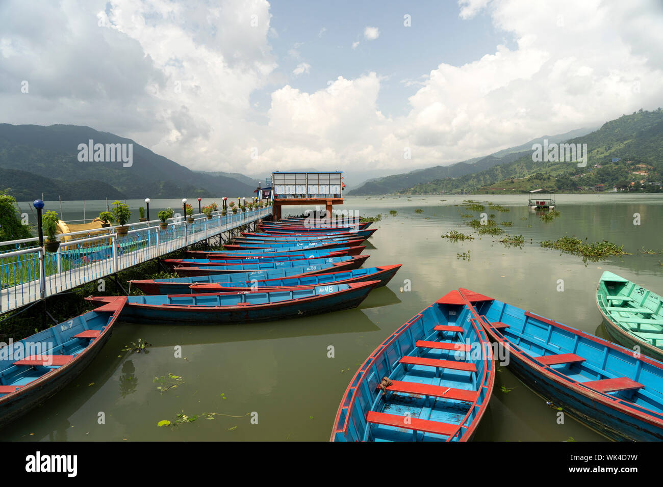 Rowing boats Phewa Lake, Phewa Tal Fewa Lake in Nepal South Asia Stock ...
