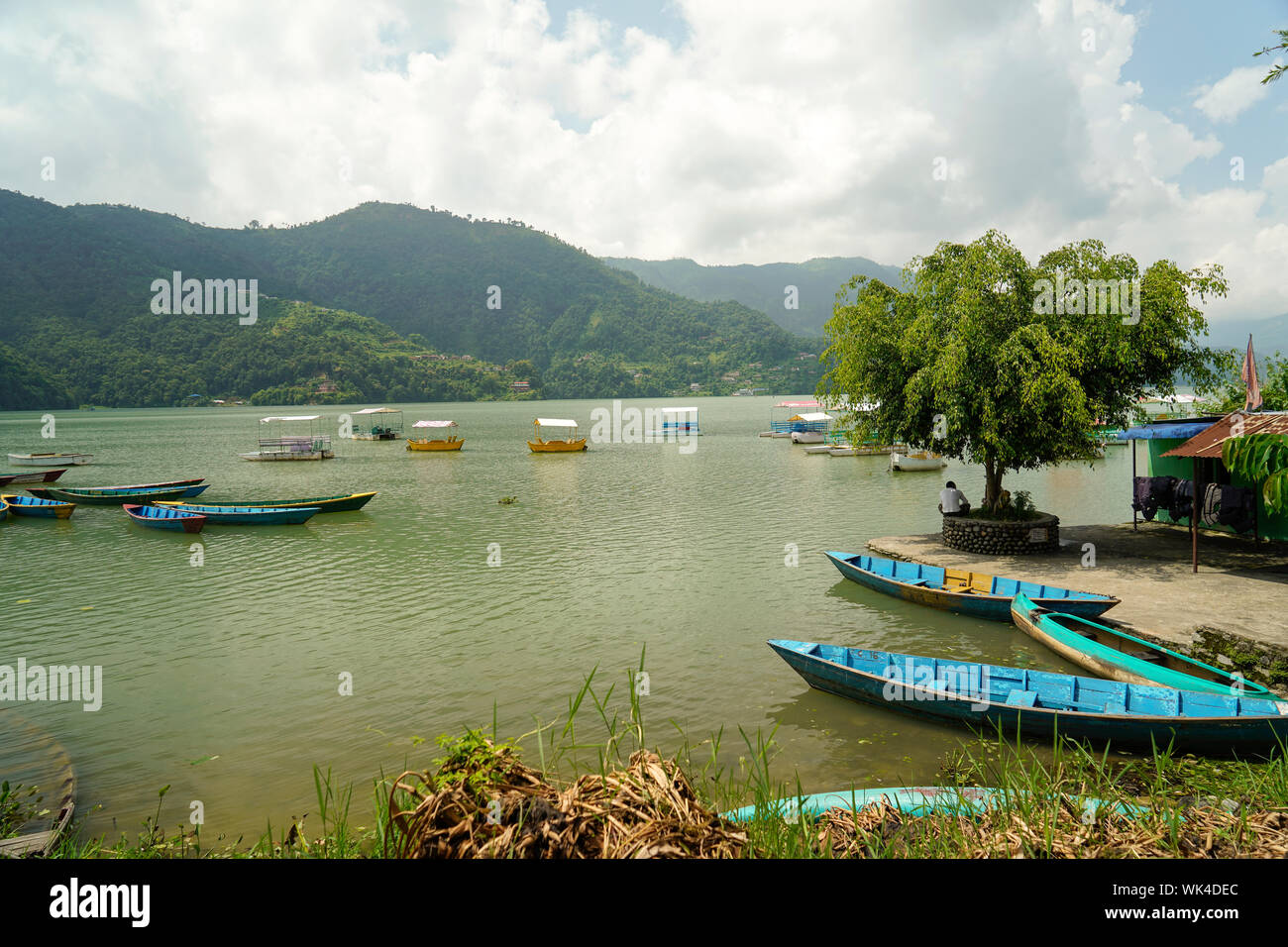 Rowing boats Phewa Lake, Phewa Tal Fewa Lake in Nepal South Asia Stock ...