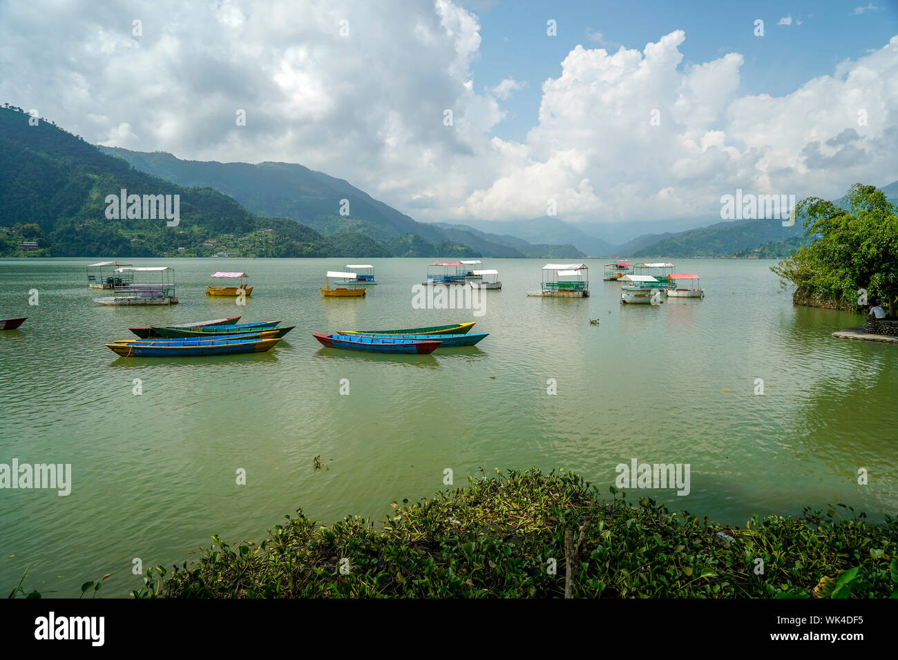 Rowing boats Phewa Lake, Phewa Tal Fewa Lake in Nepal South Asia Stock ...