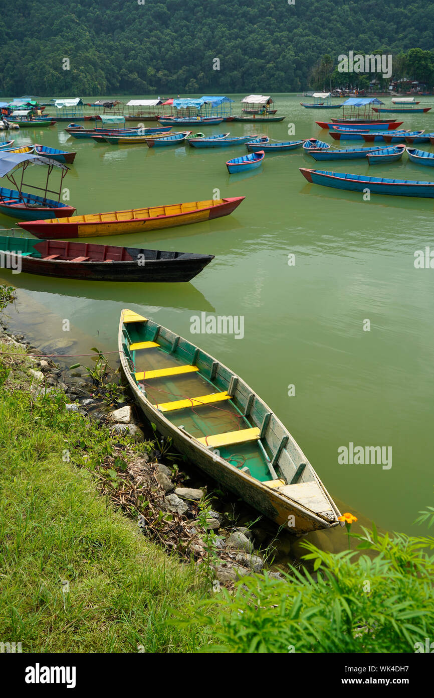 Rowing boats Phewa Lake, Phewa Tal Fewa Lake in Nepal South Asia Stock ...