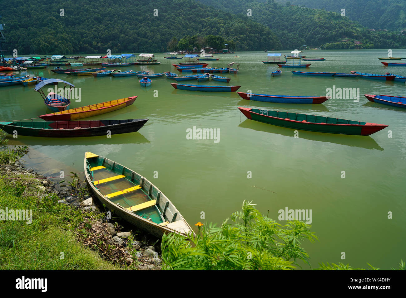 Rowing boats Phewa Lake, Phewa Tal Fewa Lake in Nepal South Asia Stock ...