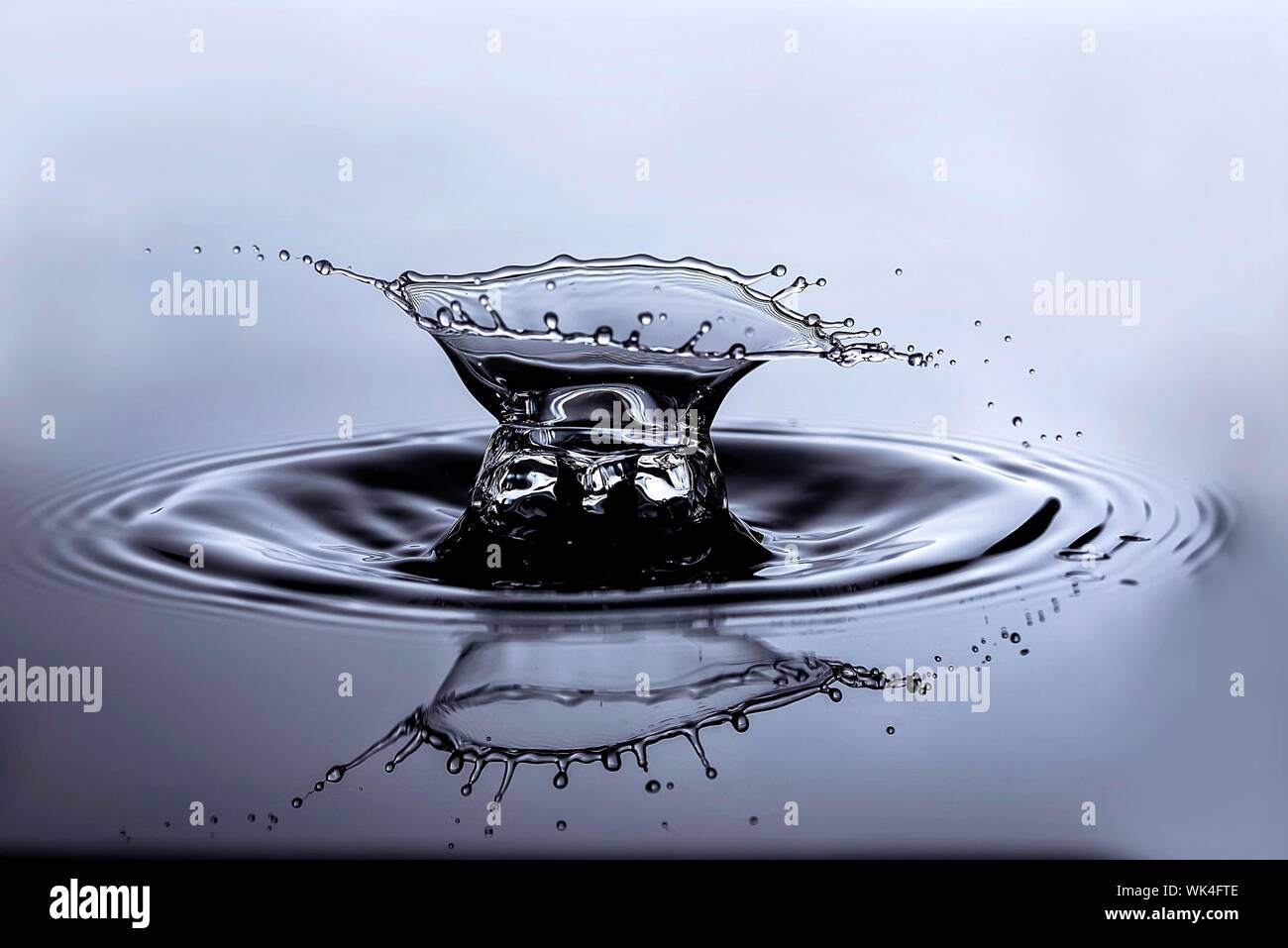 Splash in water hi-res stock photography and images - Alamy