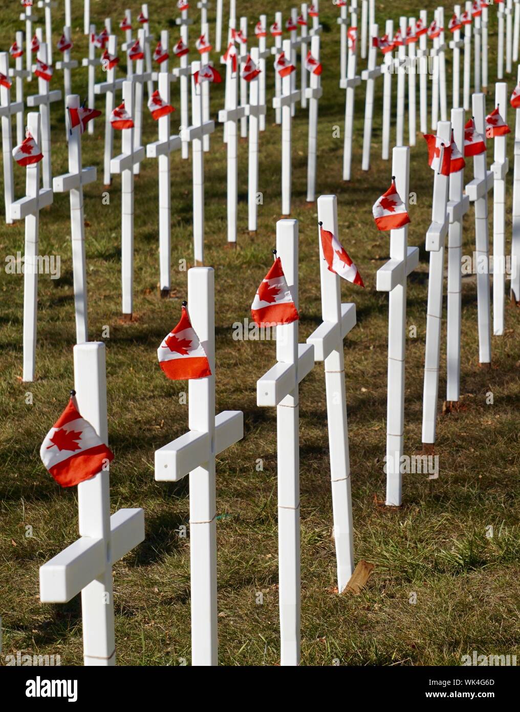 Flag canadian cemetery hi-res stock photography and images - Alamy