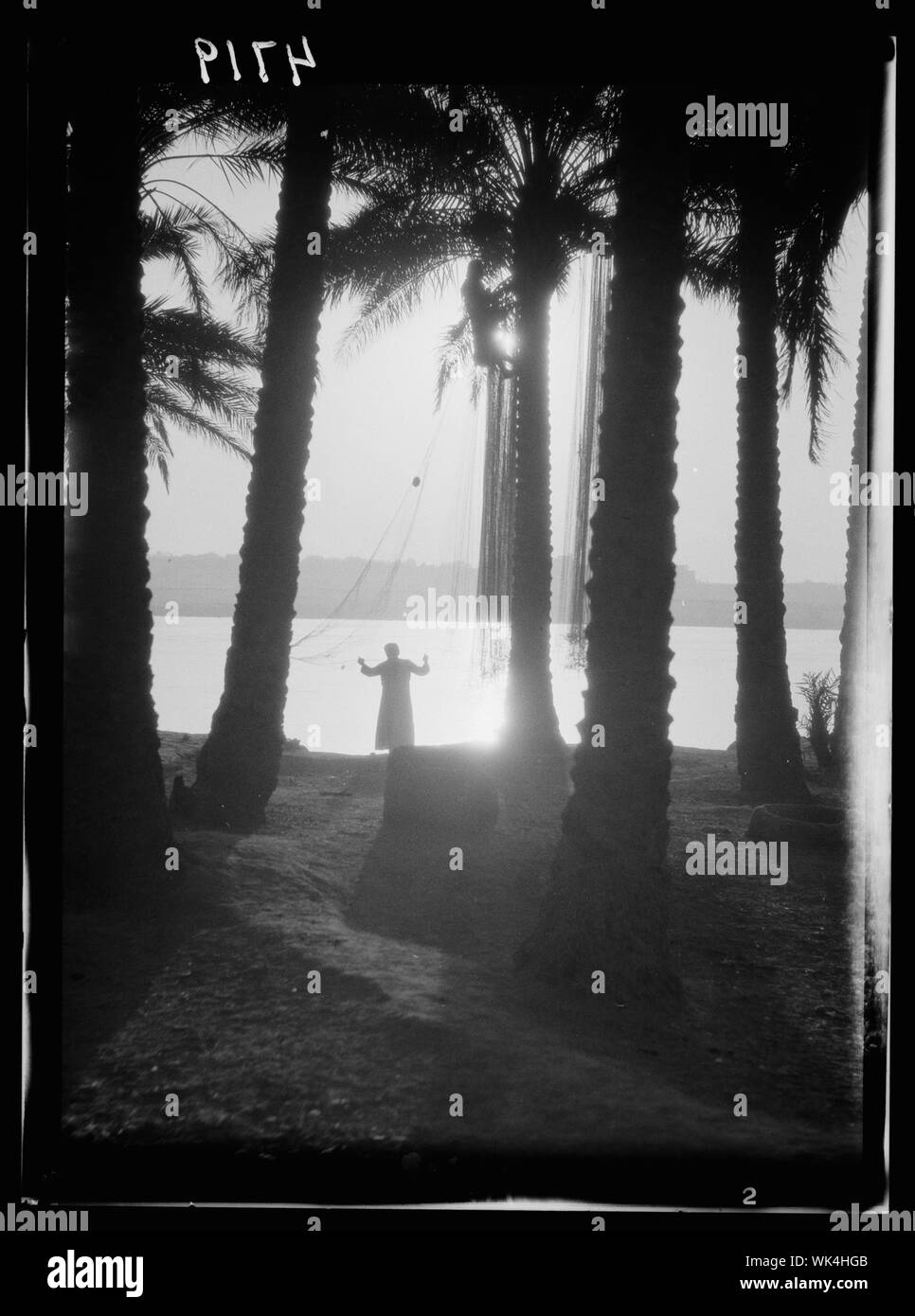 Iraq. River scenes on the Euphrates taken at Hilla. Silhouette effect ...