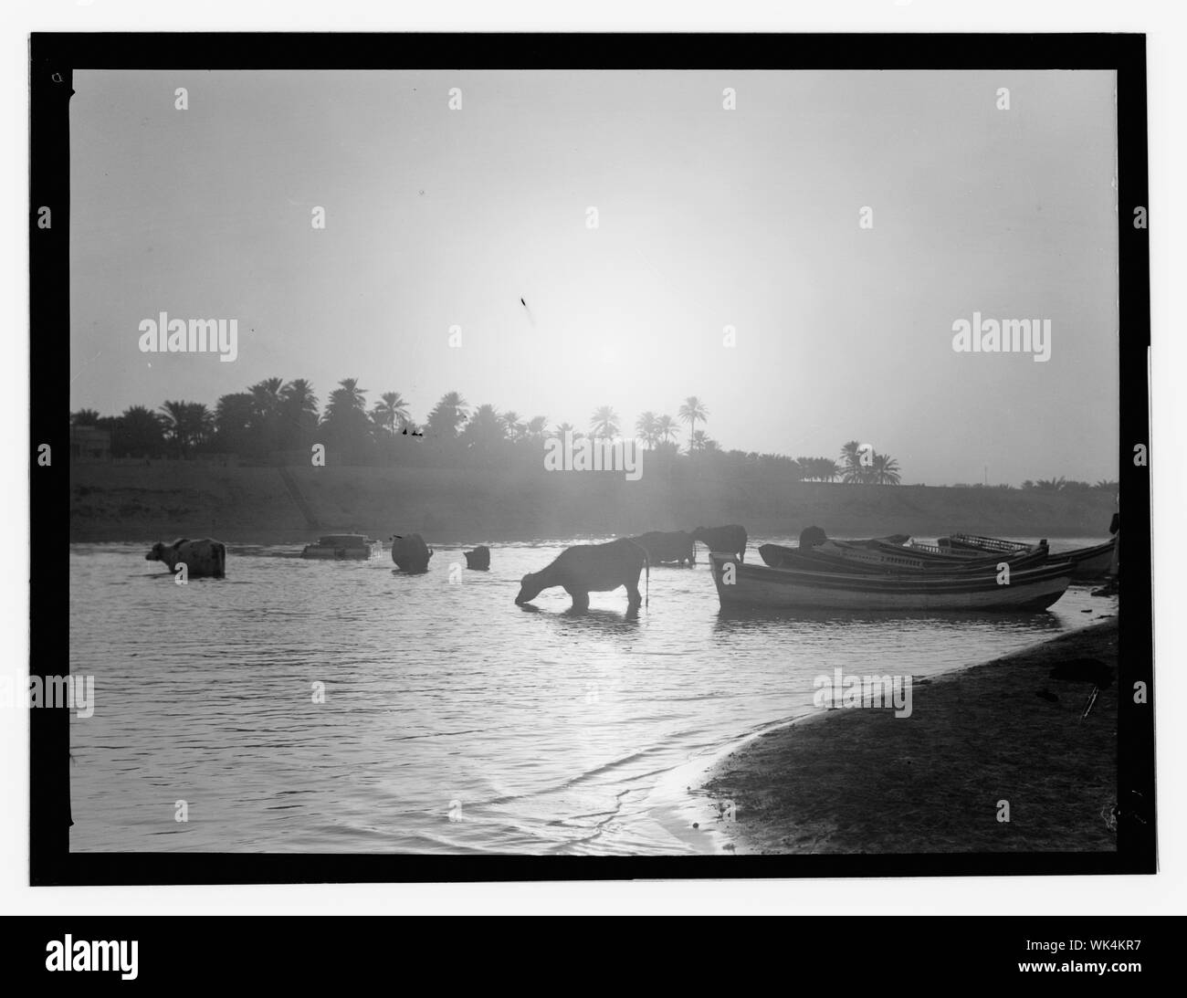 Farm to river Cut Out Stock Images & Pictures - Alamy