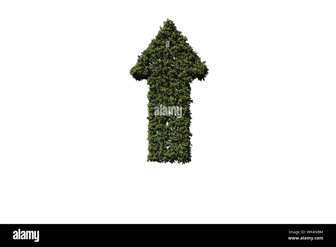 Green arrow made of leaves on white background Stock Photo - Alamy