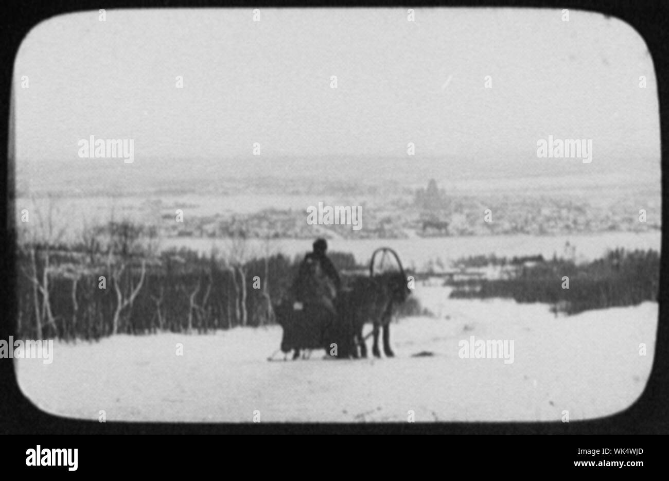 Horse drawn sledge hi-res stock photography and images - Alamy