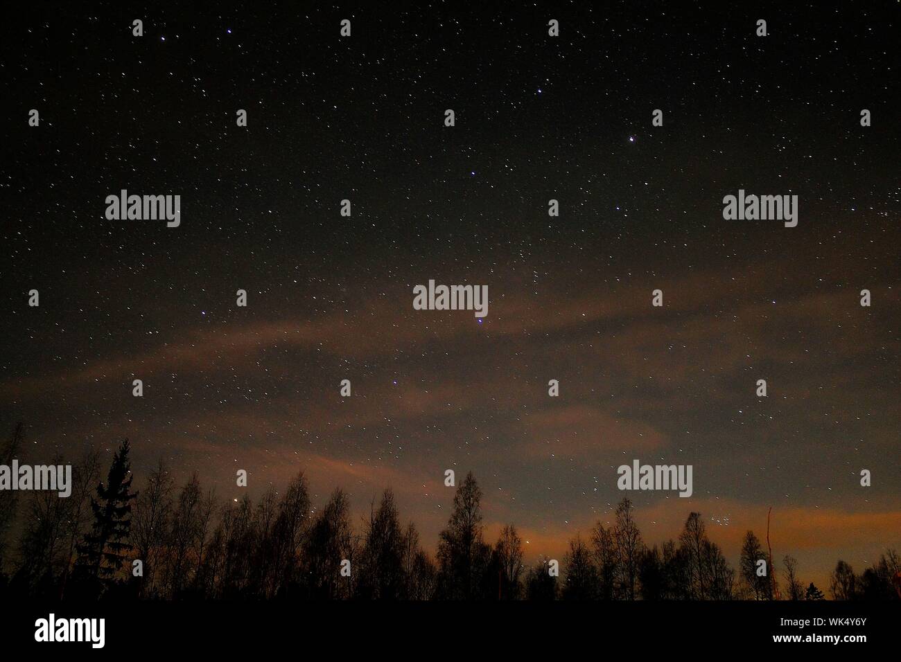 Stars over trees hi-res stock photography and images - Alamy
