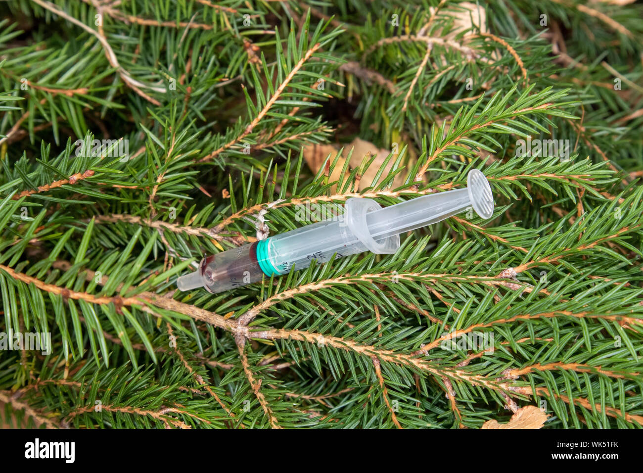 Syringe tree hi-res stock photography and images - Alamy