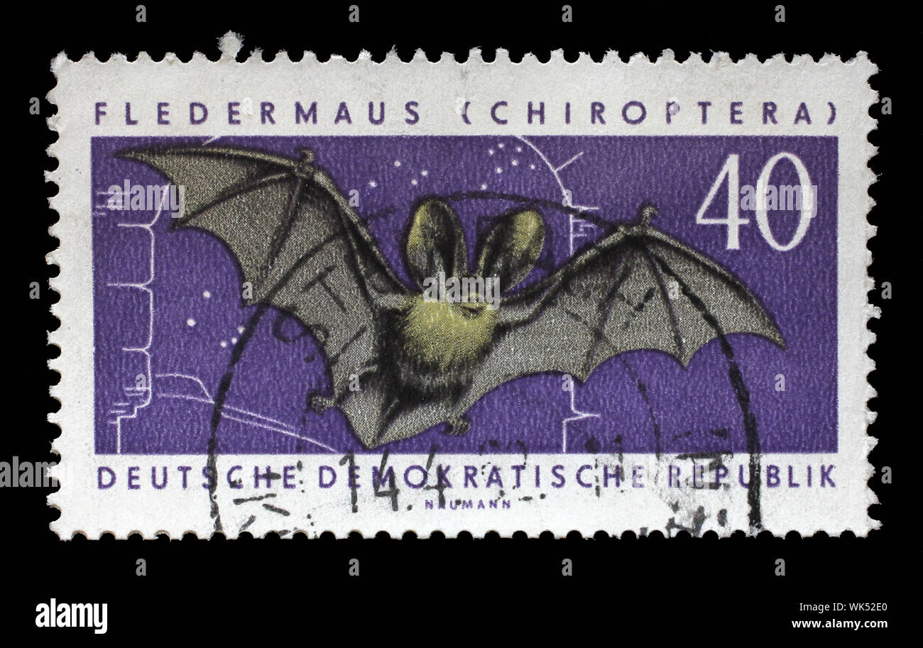 Stamp printed in German Democratic Republic shows the image of a flying ...