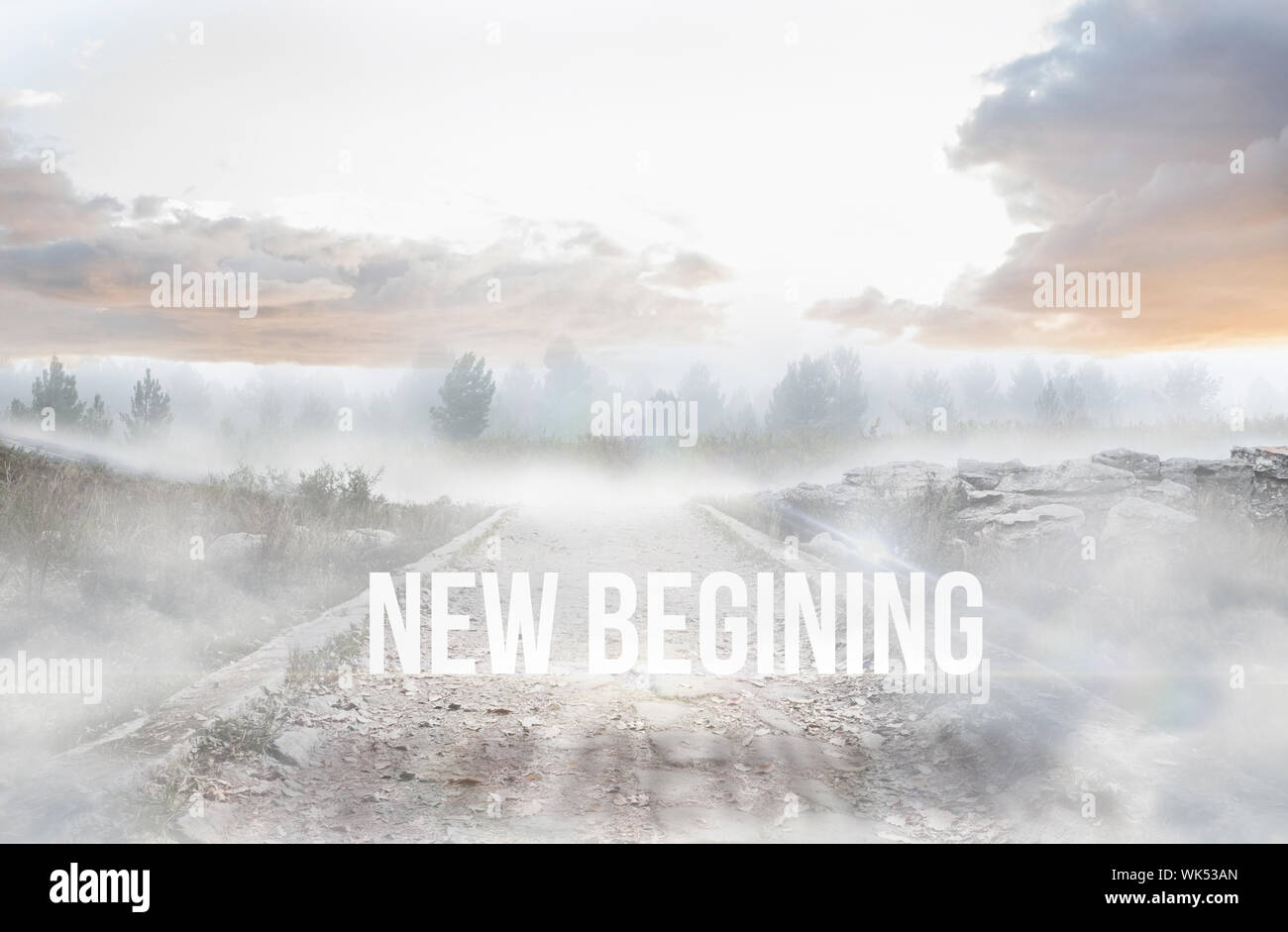 The word new begining against stony path leading to misty forest Stock ...