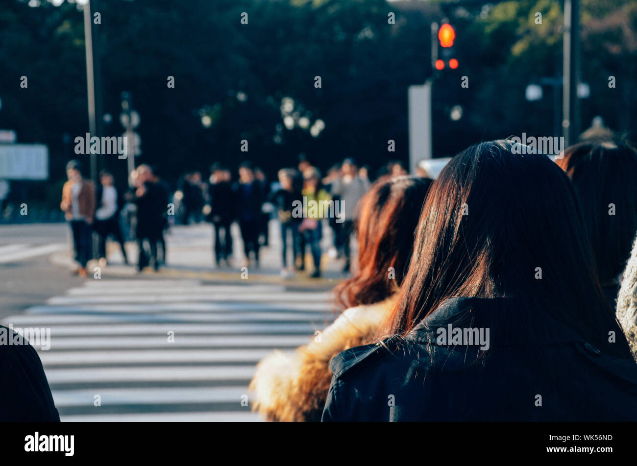 Waiting traffic light hi-res stock photography and images - Alamy