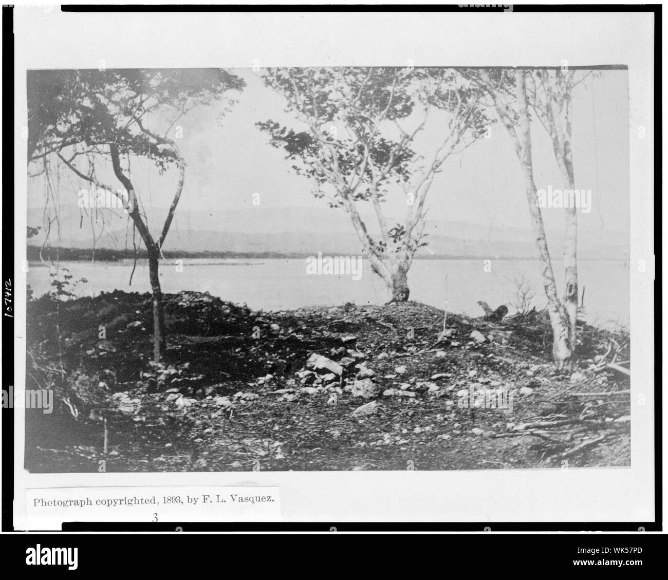 American founded Cut Out Stock Images & Pictures - Alamy