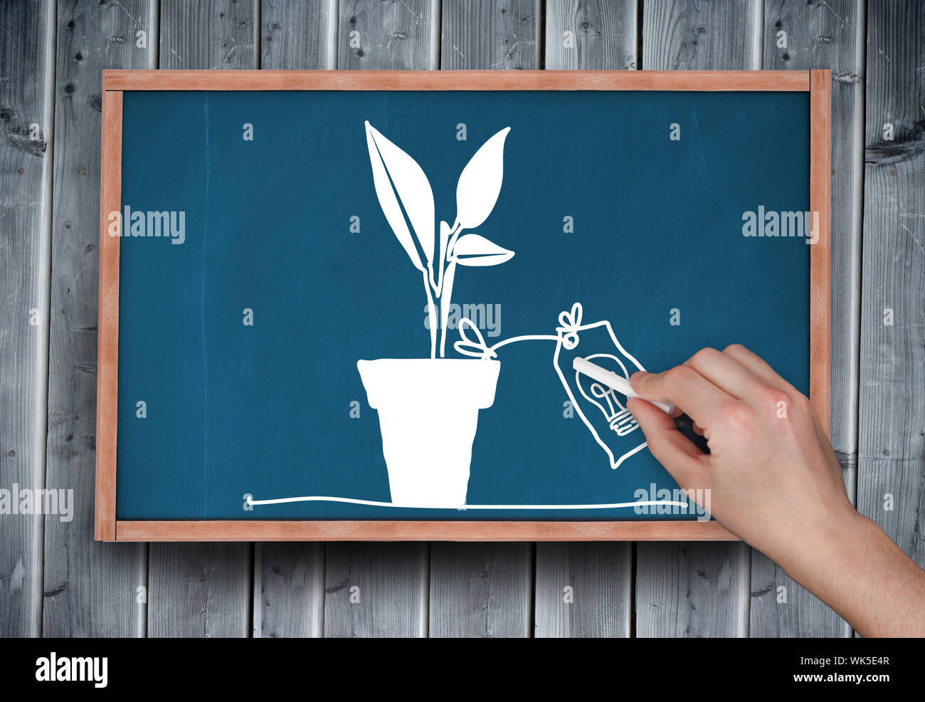 Composite image of hand drawing plant with chalk on chalkboard on grey ...