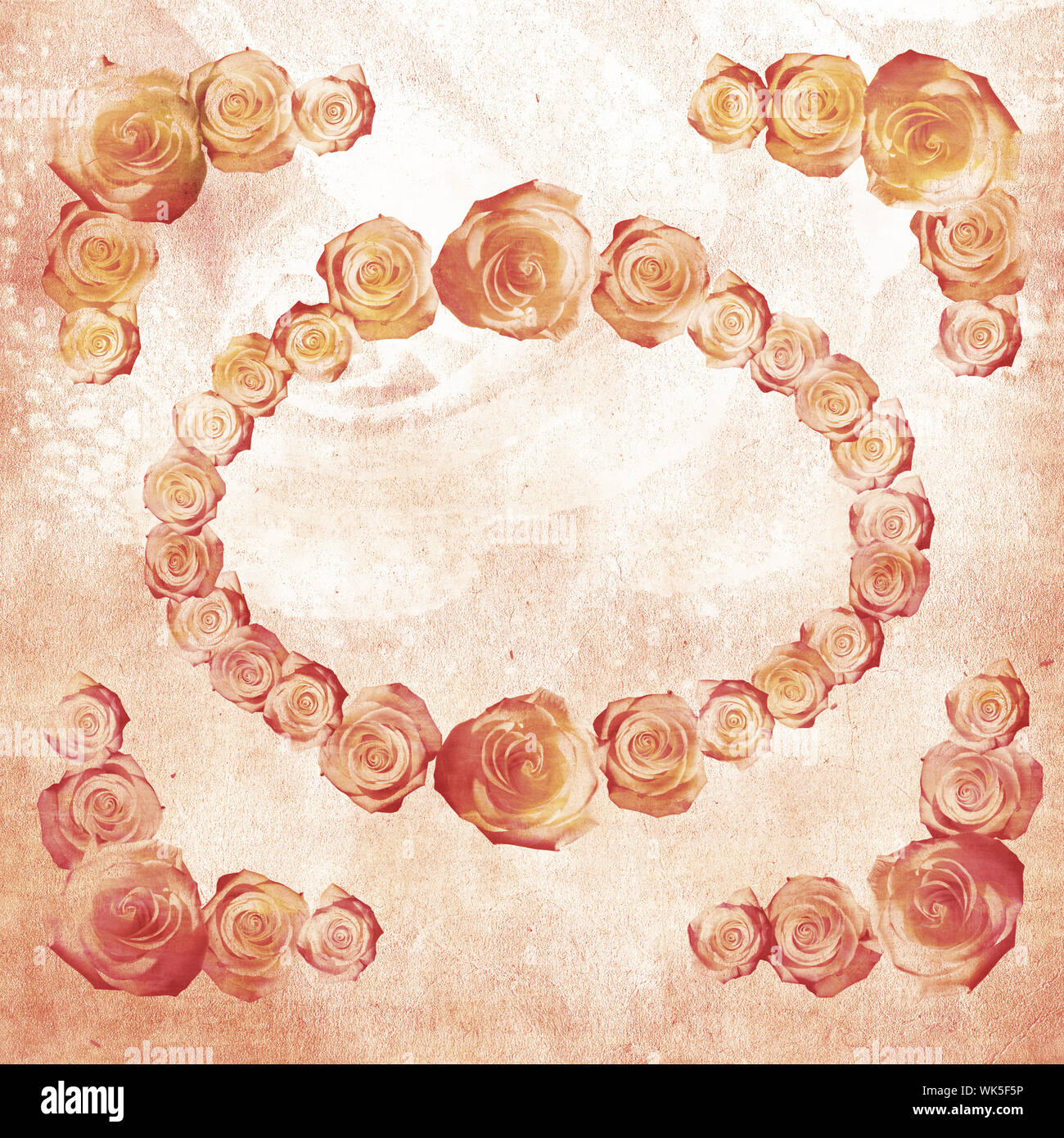 Yellow roses frame on the white background Stock Photo - Alamy