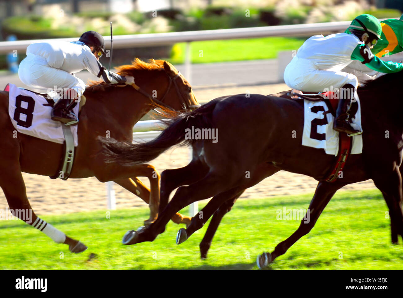 Champion thoroughbreds hi-res stock photography and images - Alamy