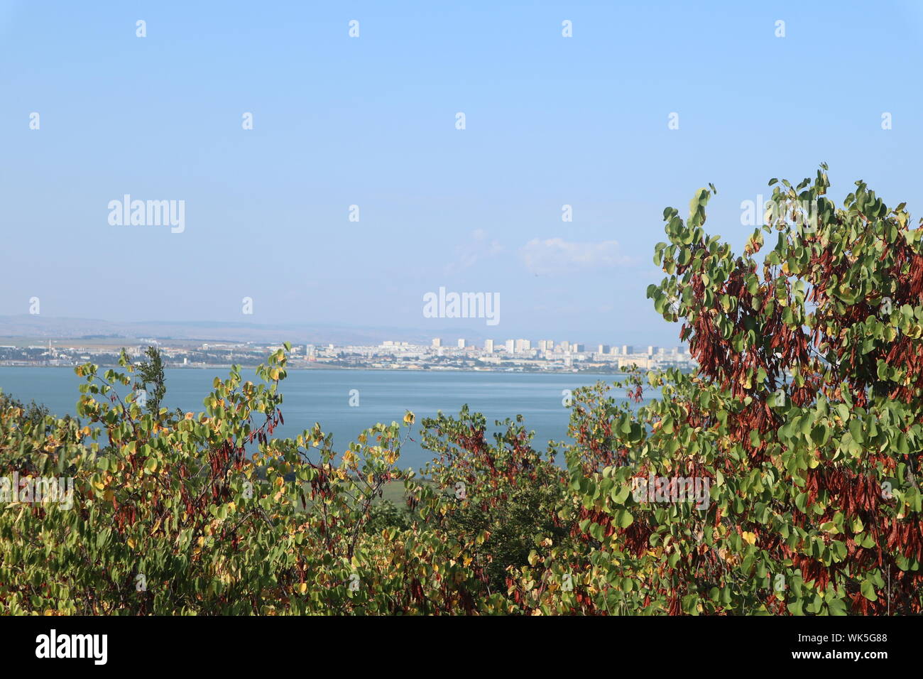 City view behind green trees hi-res stock photography and images - Alamy