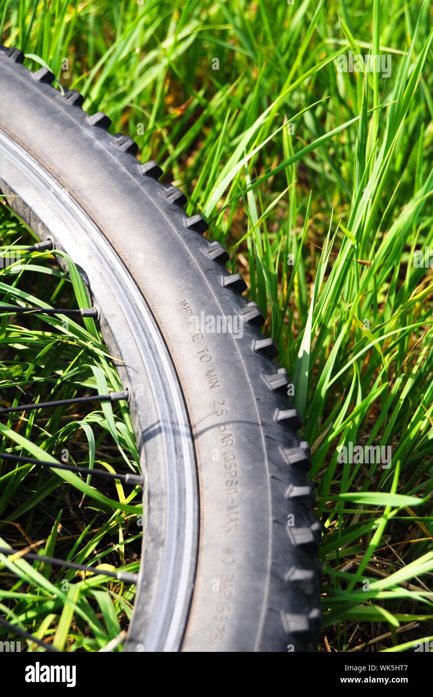 mountain bike offroad tire in green grass showing sport in nature ...