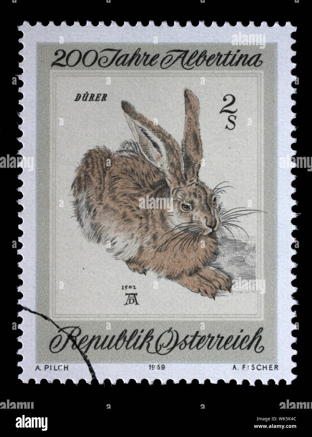 Young Hare Albrecht Durer