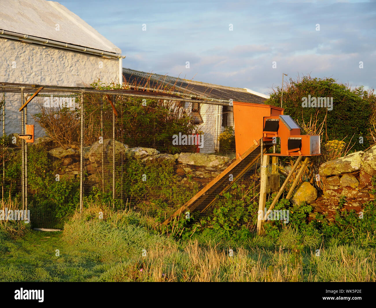 Bird trap hi-res stock photography and images - Alamy